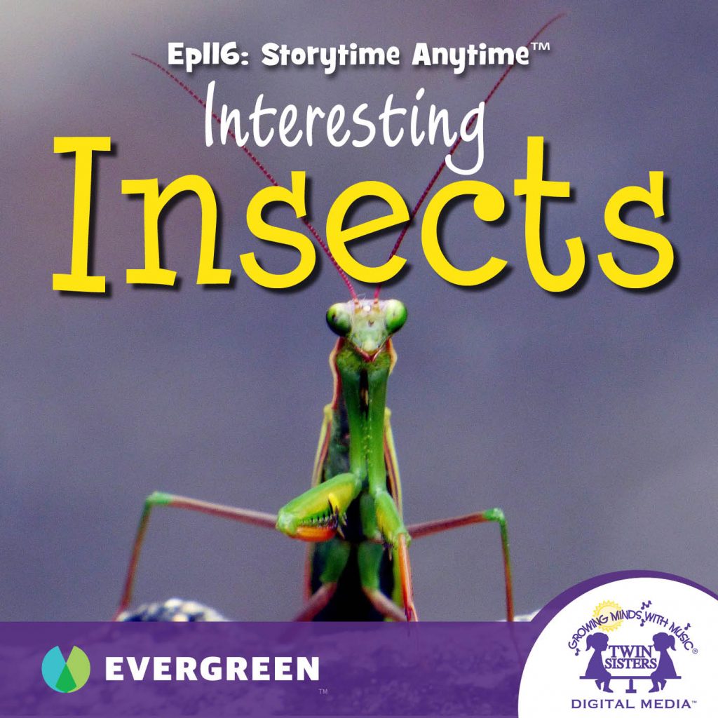 Interesting Insects | Twin Sisters